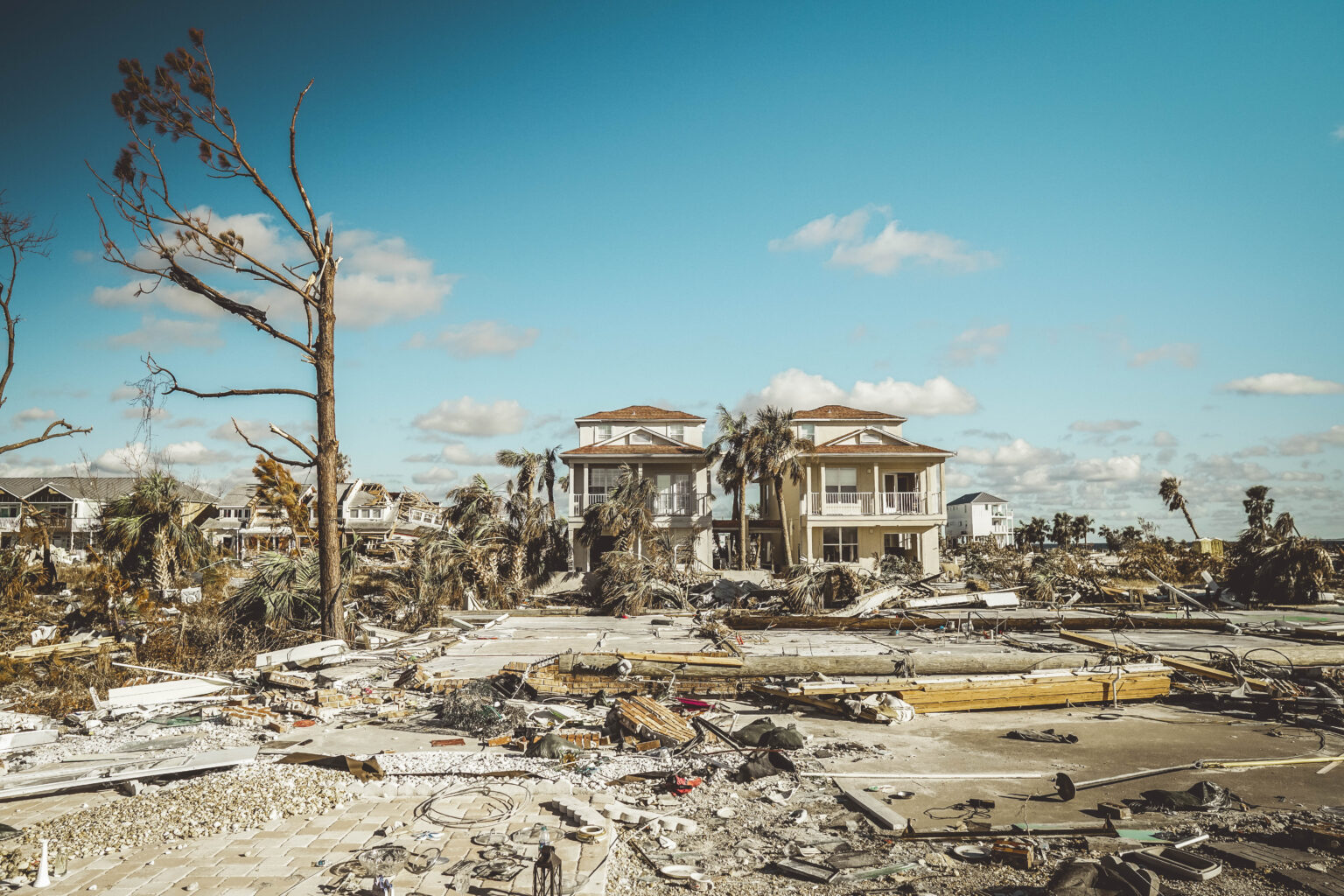 Debris Management | Emergency Disaster Services